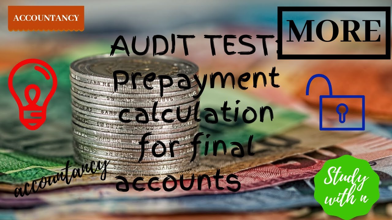 More Example of Audit: Prepayment Calculation Testing for Final ...