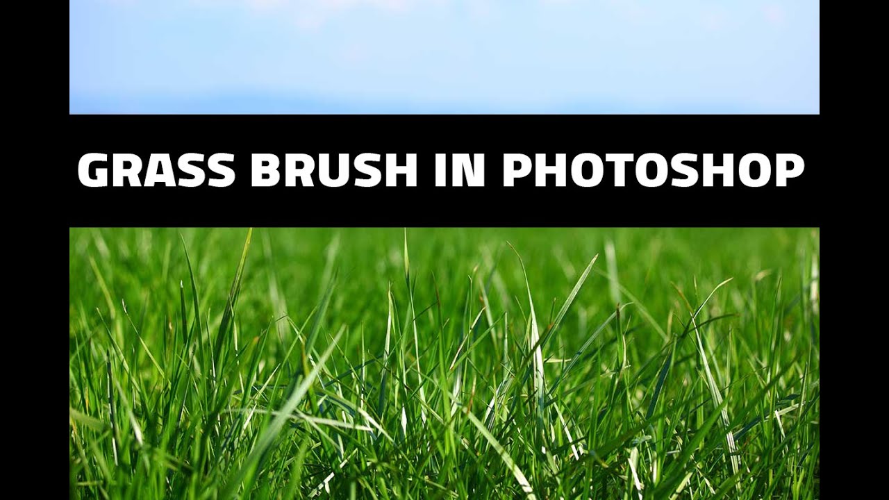 How To Make Grass Brush In Photoshop YouTube how-to-make-grass-brush-in-photoshop-youtube