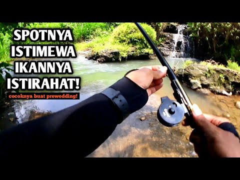 Mancing Wader Kepek Di Spot Fotogenik! Mancing Wader Kepek - YouTube