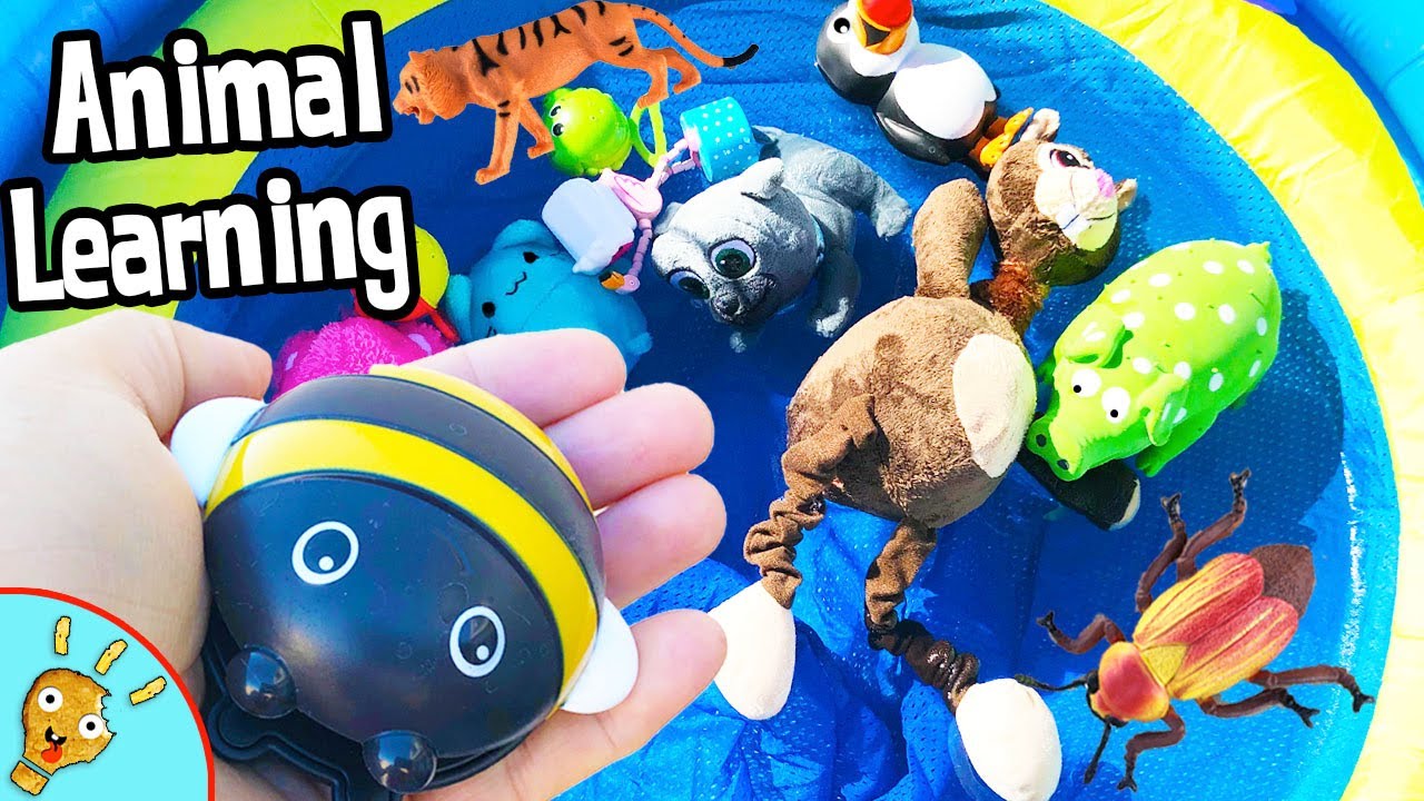 Animal Toys! Learning Colors in Pool Water by Squishee Nugget - YouTube