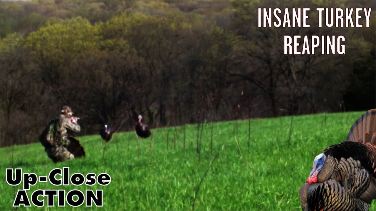 (EXTREME) Up close Turkey Reaping | MISSOURI - YouTube