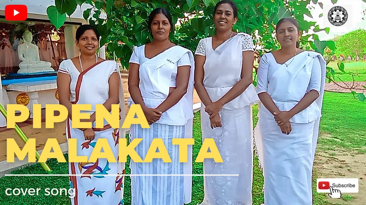 Pipena Malakata Cover Song - YouTube