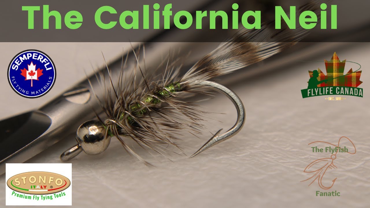 The California Neil - YouTube