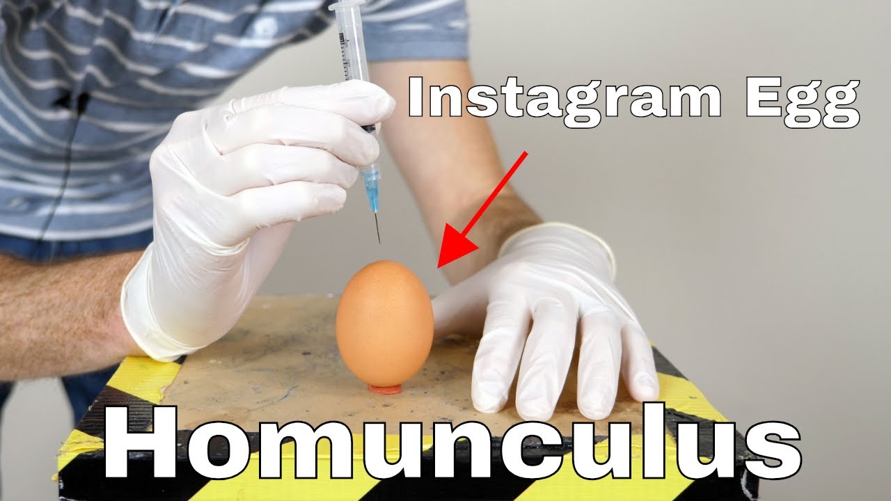 Man Makes Homunculus Monster From Instagram Egg - YouTube