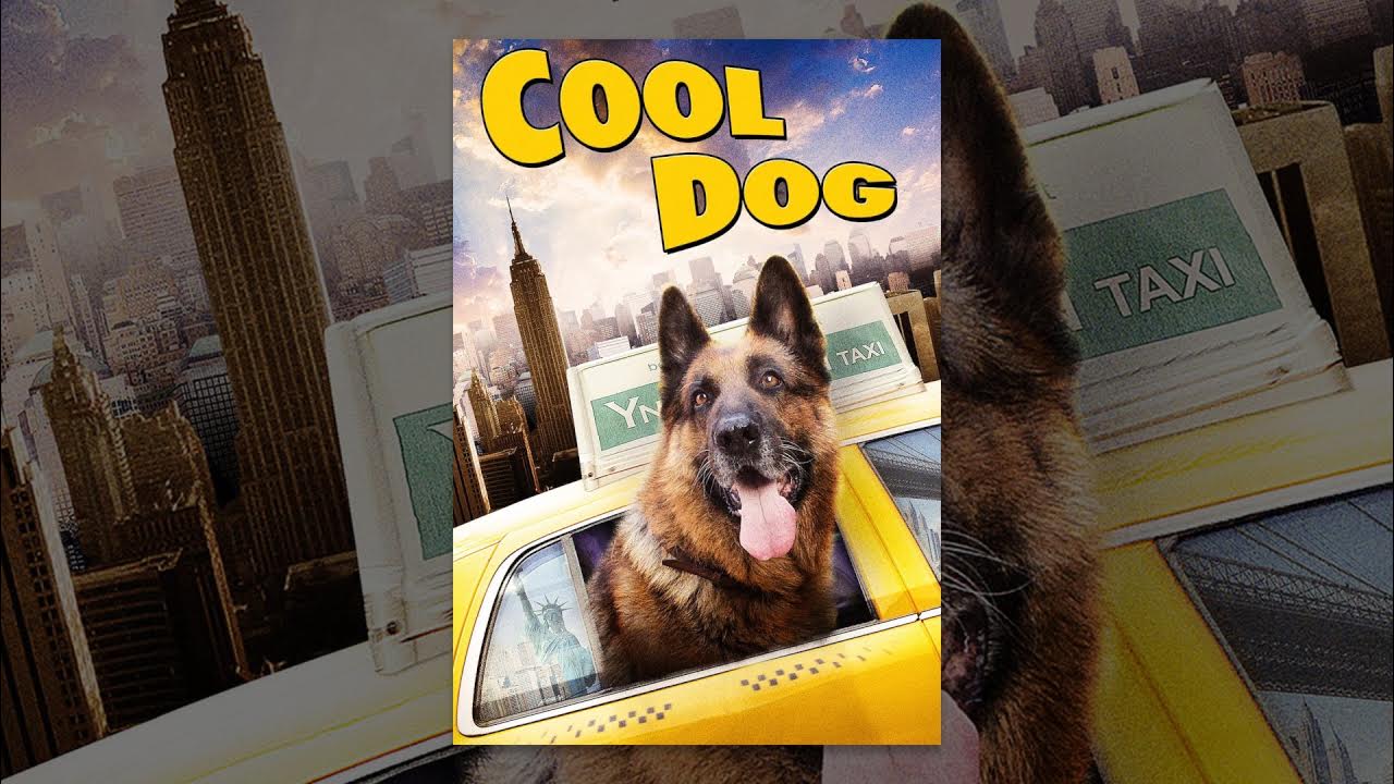 Cool Dog - YouTube