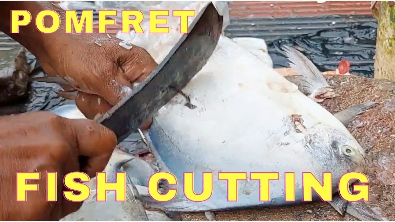 Pomfret Fish Cutting Skills, Big Pomfret fish cutting videos - YouTube
