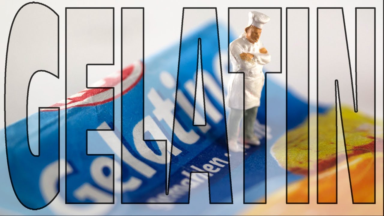 GELATIN - How to use (Gelling Agents Test Part 1/7) - YouTube