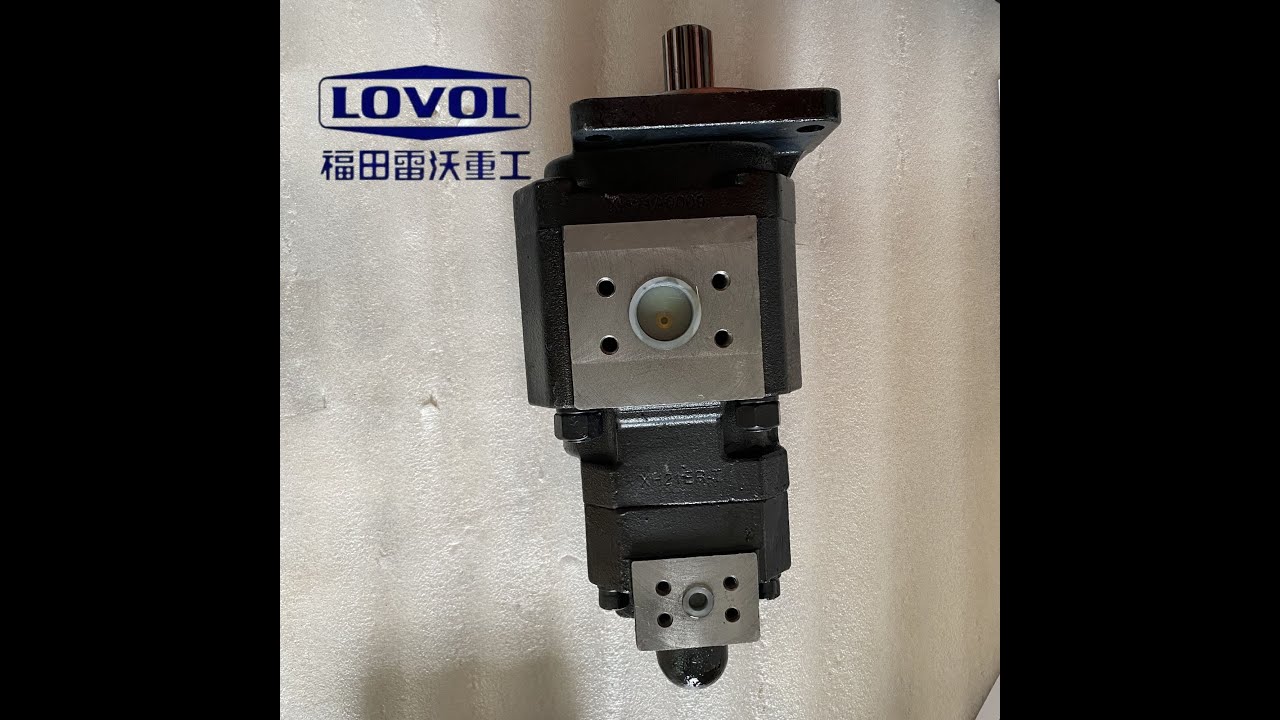 LOVOL FL956 GEAR PUMP 9G662-54A010000A0 P3100/01010-XF 9F850 ...