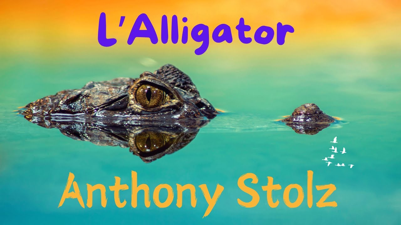 Poésie L'Alligator par Anthony Stolz - YouTube