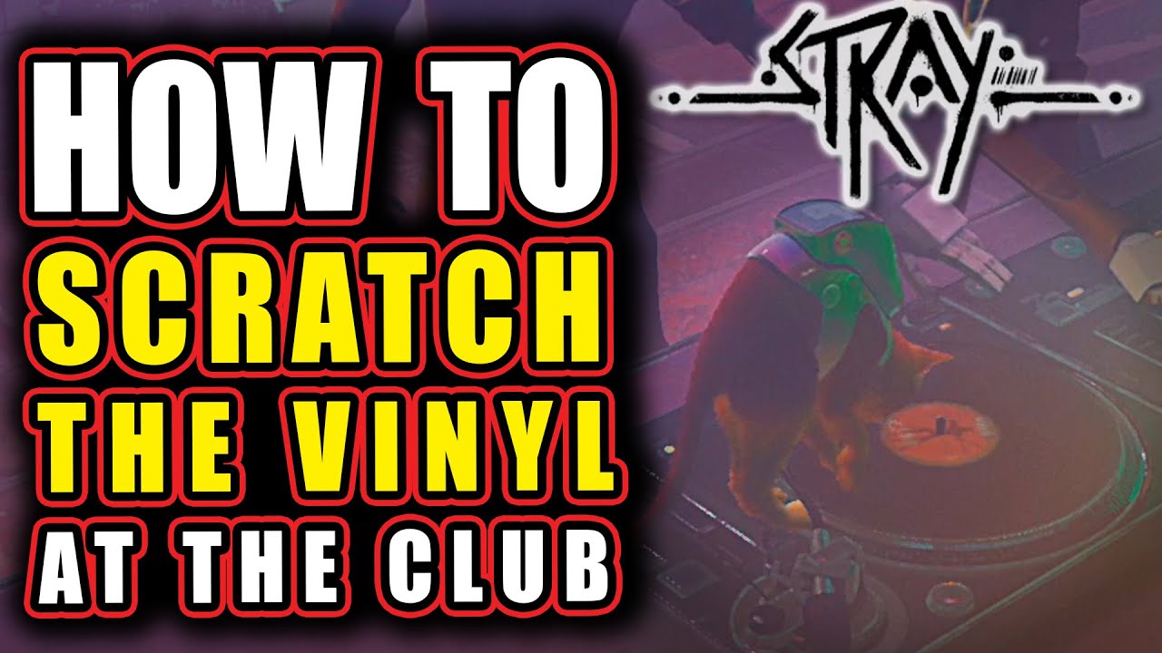 How to SCRATCH the Vinyl at the Club | STRAY - YouTube