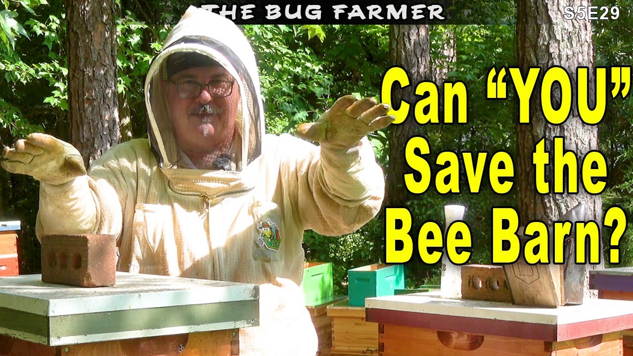 I need your help. The Army Bee Barn is dying. Can you save it? # ...