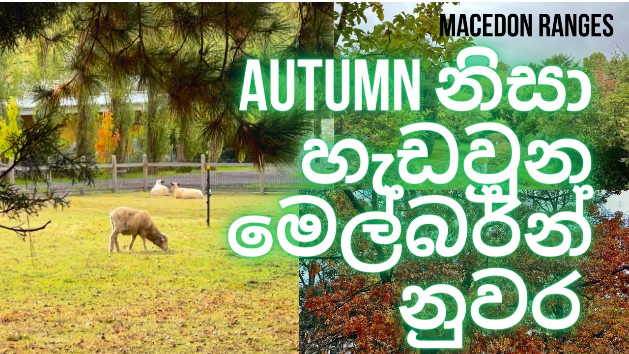 මෙල්බර්න් නුවර මෙච්චර ලස්සනද| Autumn in Melbourne |Macedon Ranges ...