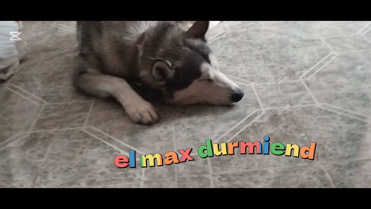 Xdddddddddd🤑 - YouTube