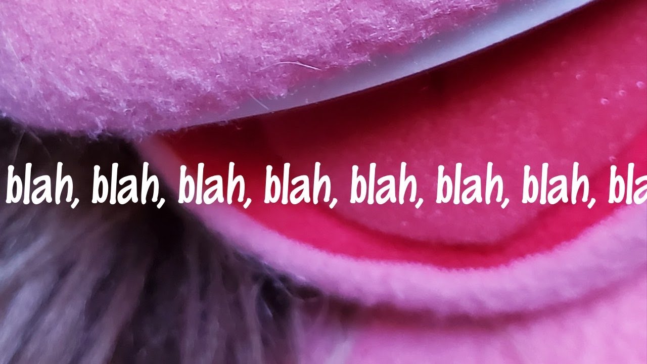 Ahhhh not exactly college - YouTube