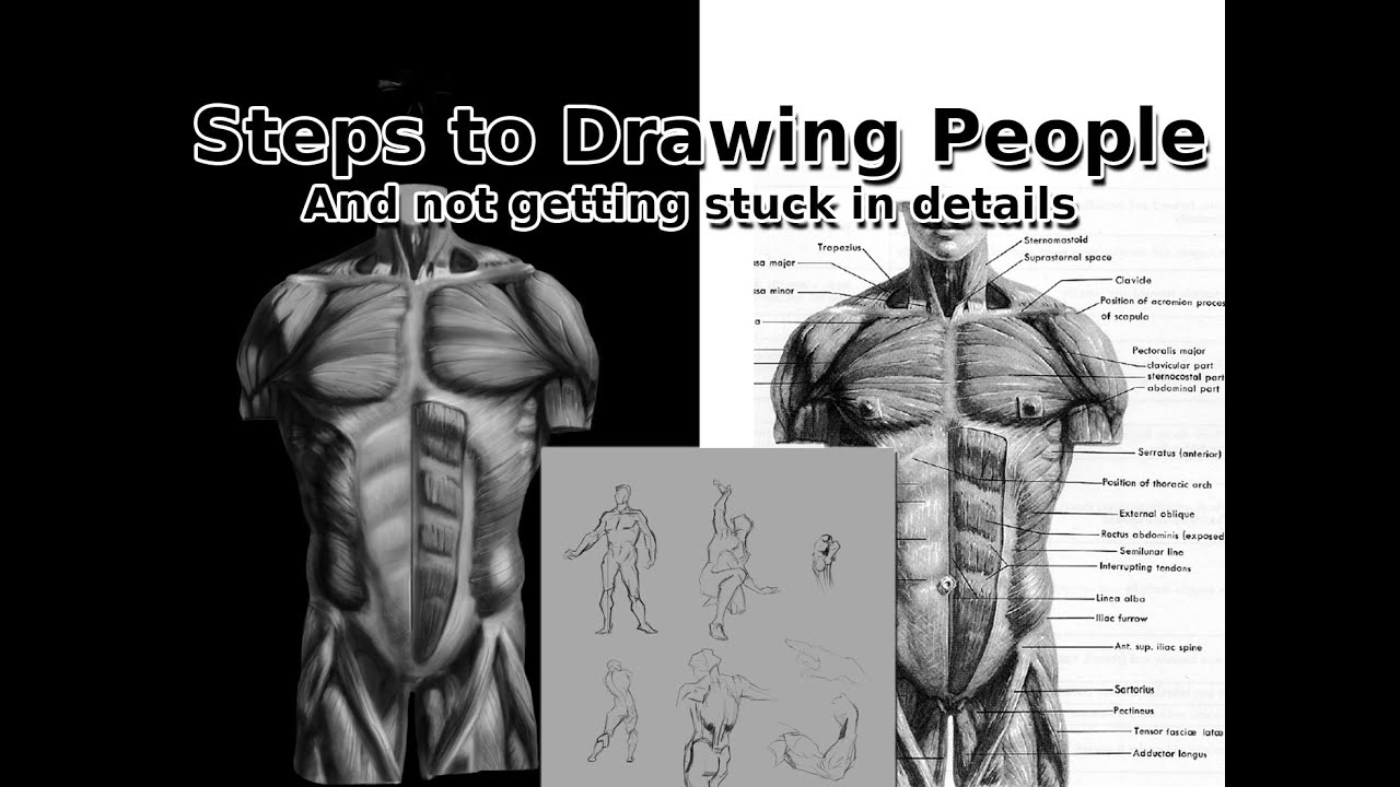Learning How To Draw People - Gesture, Figure and Anatomy - YouTube