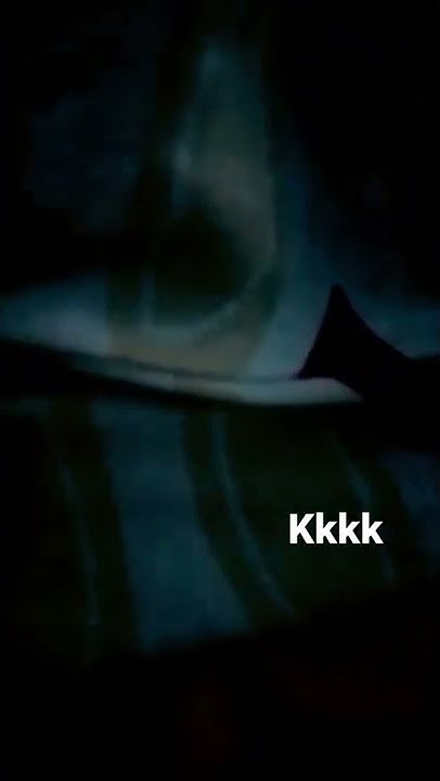 8 de fevereiro de 2022 - YouTube