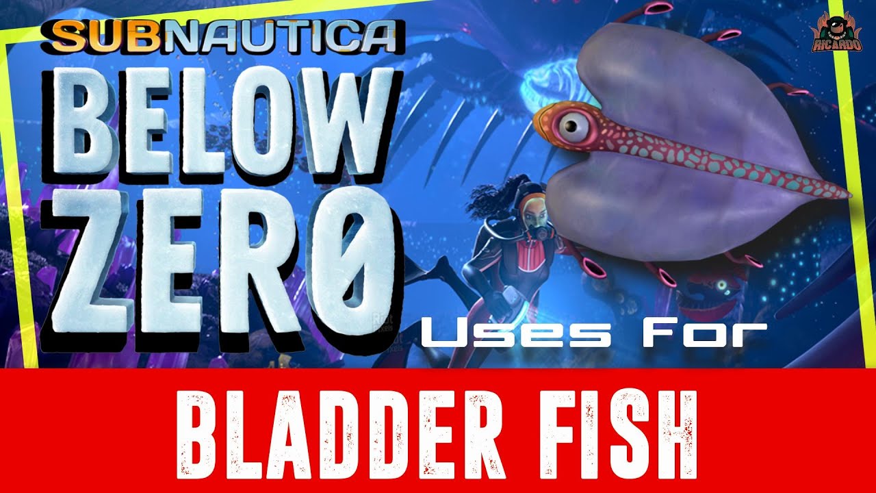 There's NO WAY The Bladder Fish Can Keep You Alive! - YouTube