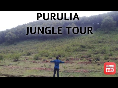 Purulia Jungle Tour 🧡 Unbelievable Nature 😱 पुरूलिया जंगल भ्रमण 💚 ...