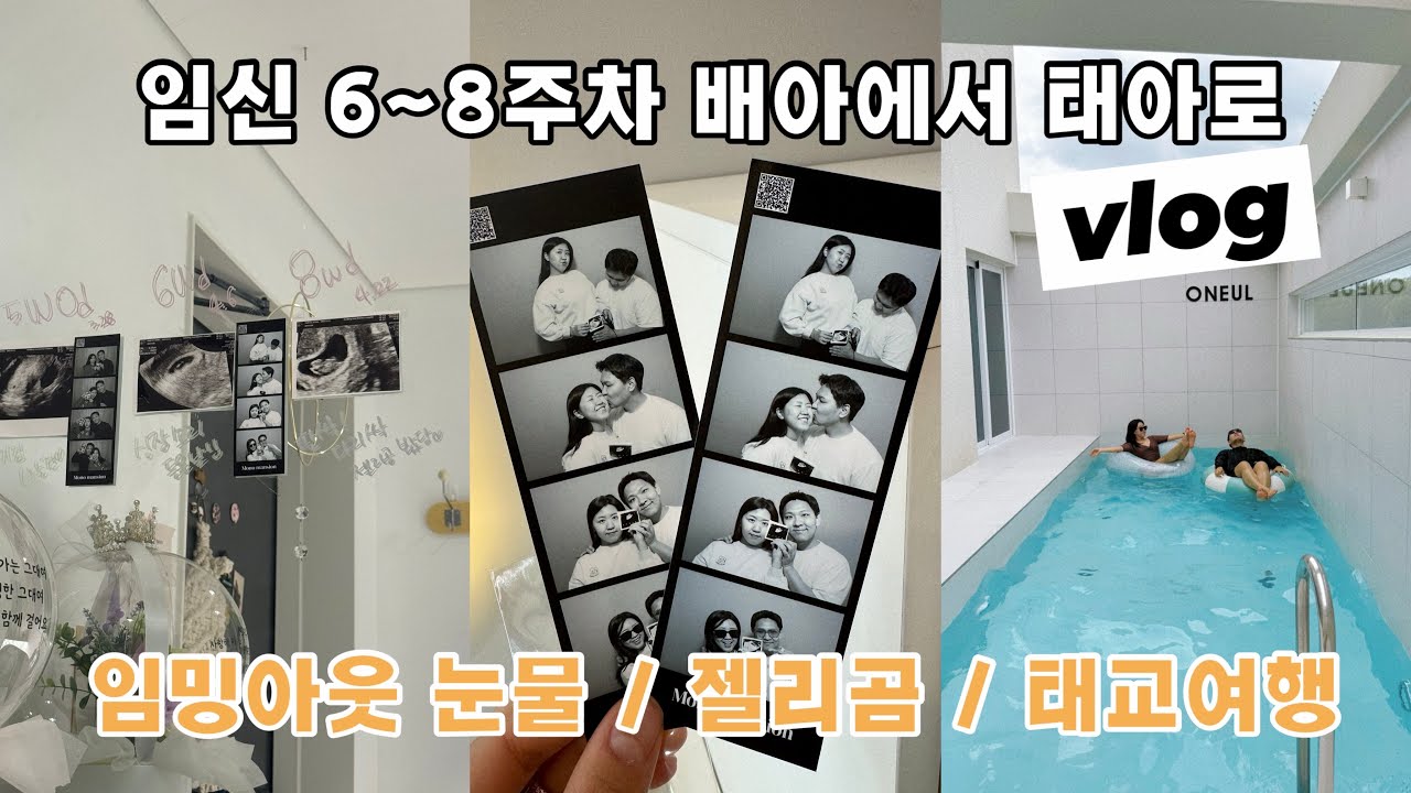 Vlog 임신 브이로그 6주~8주 친구 가족 임밍아웃 난황 And 젤리곰 입덧 아닌 먹덧 배아에서 태아로 초음파