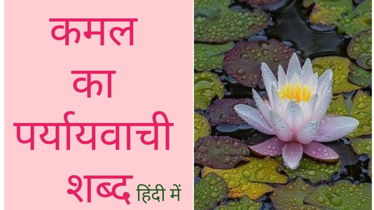 कमल का पर्यायवाची शब्द | Kamal Ka Paryayvachi Shabd | Paryayvachi Shabd ...