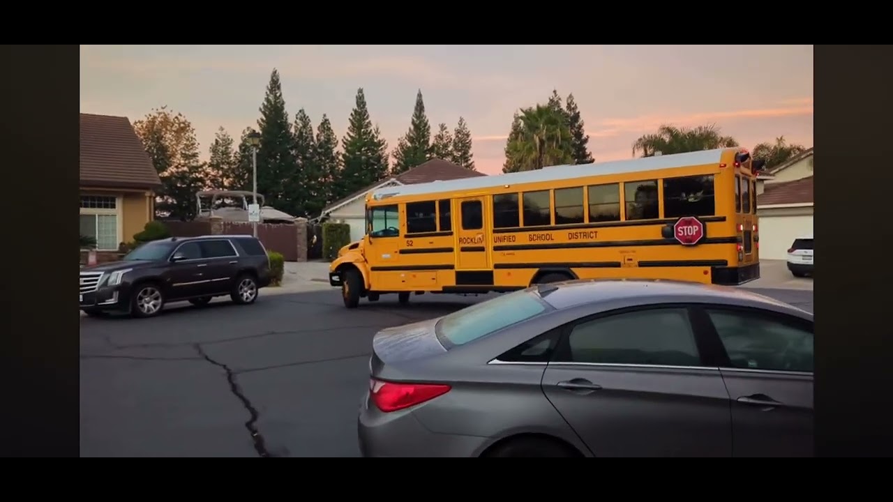 Red Fox school bus ride 52 🎒🏫 - YouTube