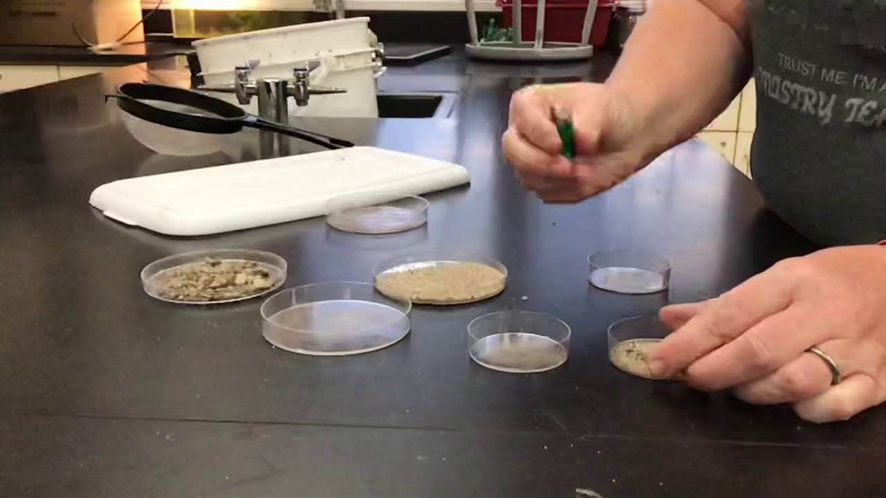 Mixture Separation - Magnetism - YouTube