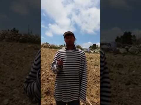 İççi bayramının hak edeni