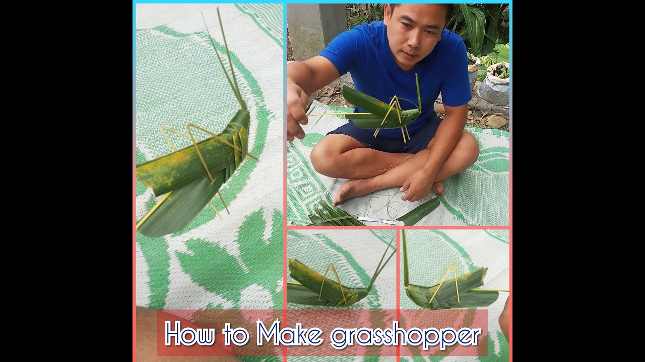 How To Make Grasshopper - YouTube