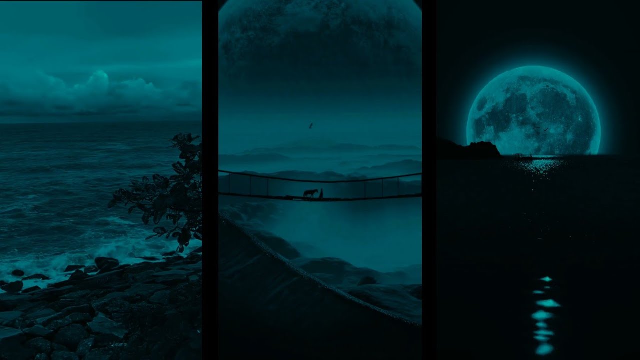 Dark Aesthetic Videos & Song 🌑 | Nature | Darkestics - YouTube