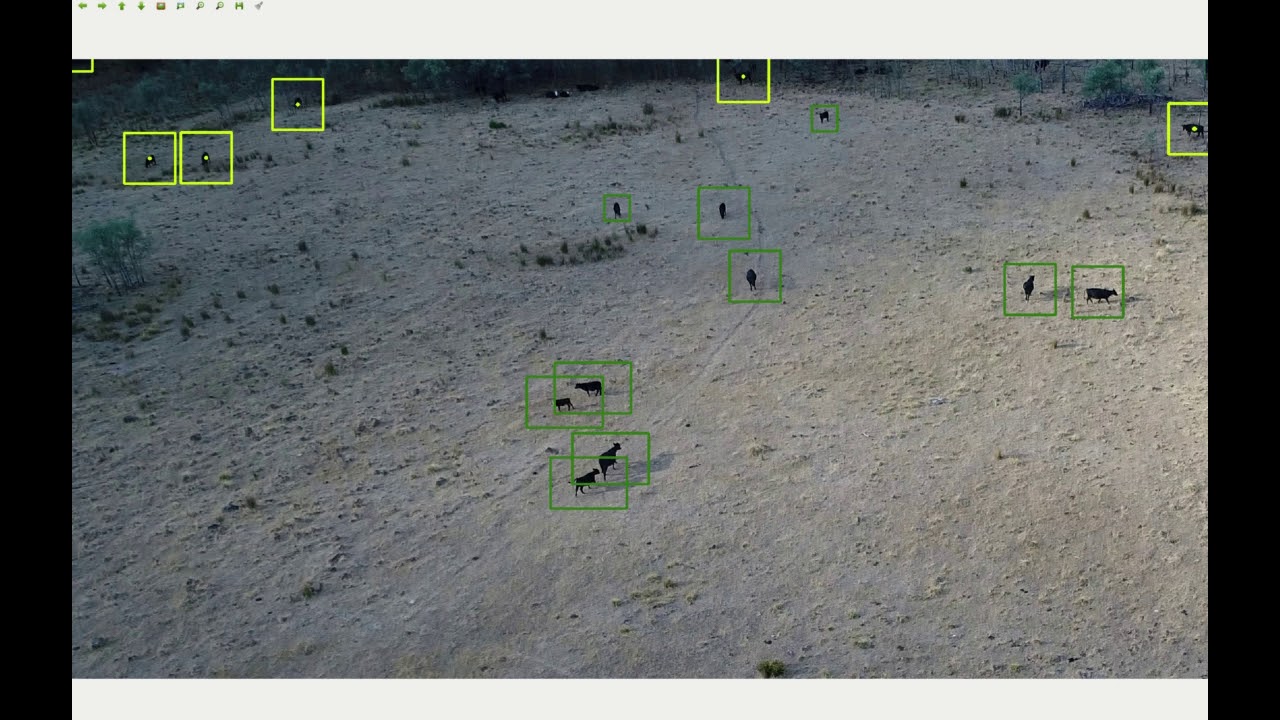 Animl labeling demo for detecting and geo-tagging animals - YouTube