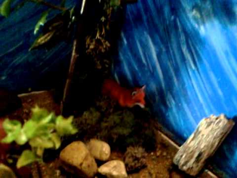 Forest triorama by emily - YouTube