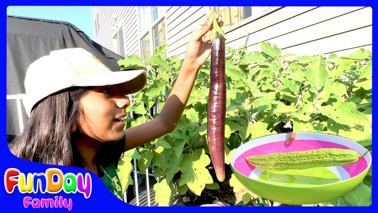 Longest Eggplant Harvest | Flower garden tour |Urvi & Apu’s life ...
