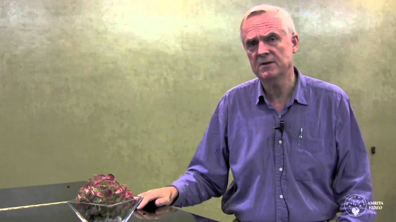 Andy Tomlinson - Reincarnation - YouTube