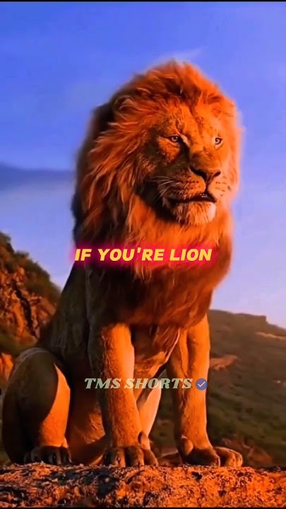 Sigma Rule~🦁IF YOU'RE LION ~ 🦁 Lion Attitude Status| Motivational ...