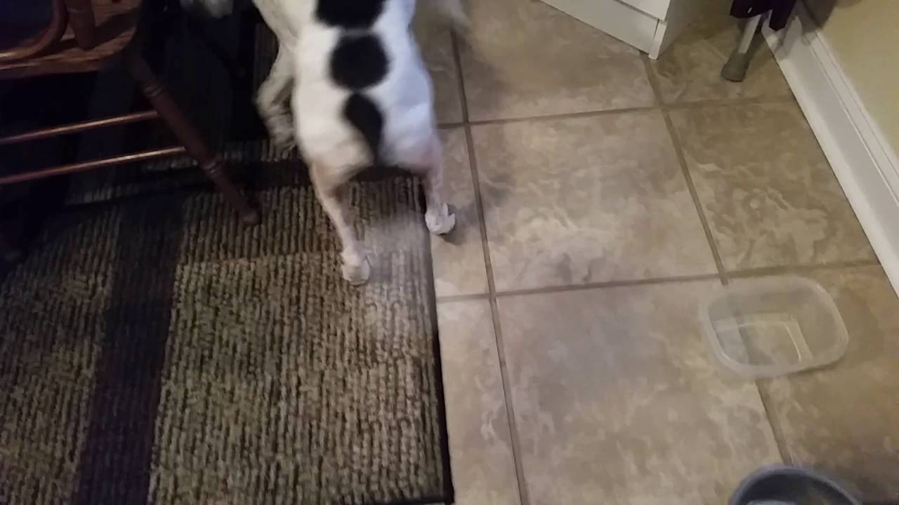 Goofy Remi - YouTube