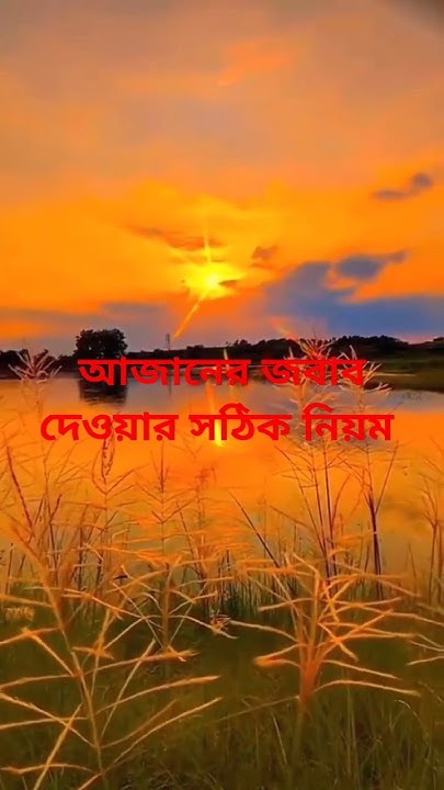 আজানের জবাব দেওয়ার সঠিক নিয়ম Shorts Islamicshorts Islamicvideo