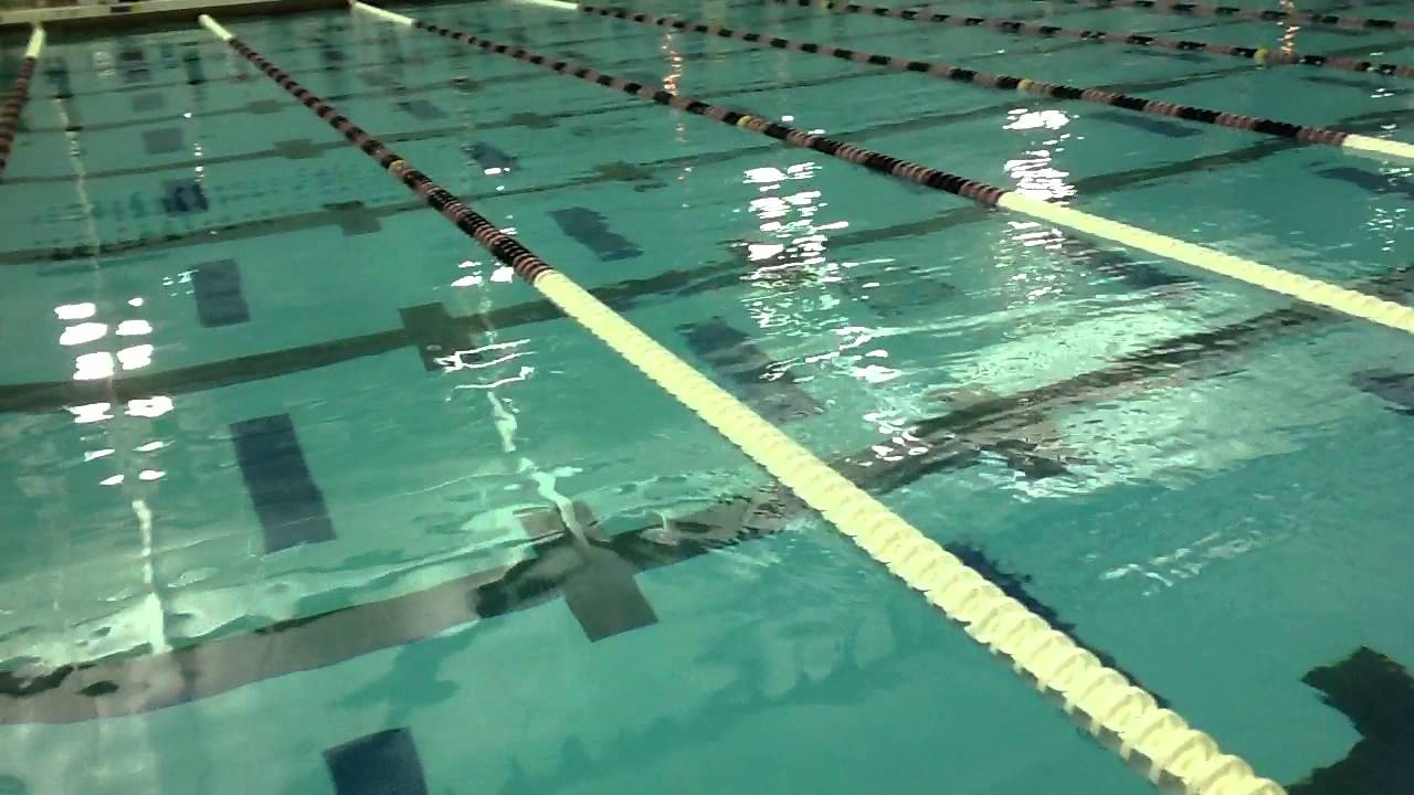 IMG 1570 YouTube