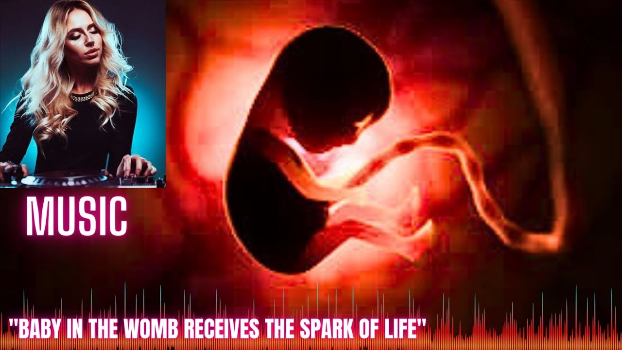 Baby in the Womb Receives the Spark of Life REAL Footage with Music ...