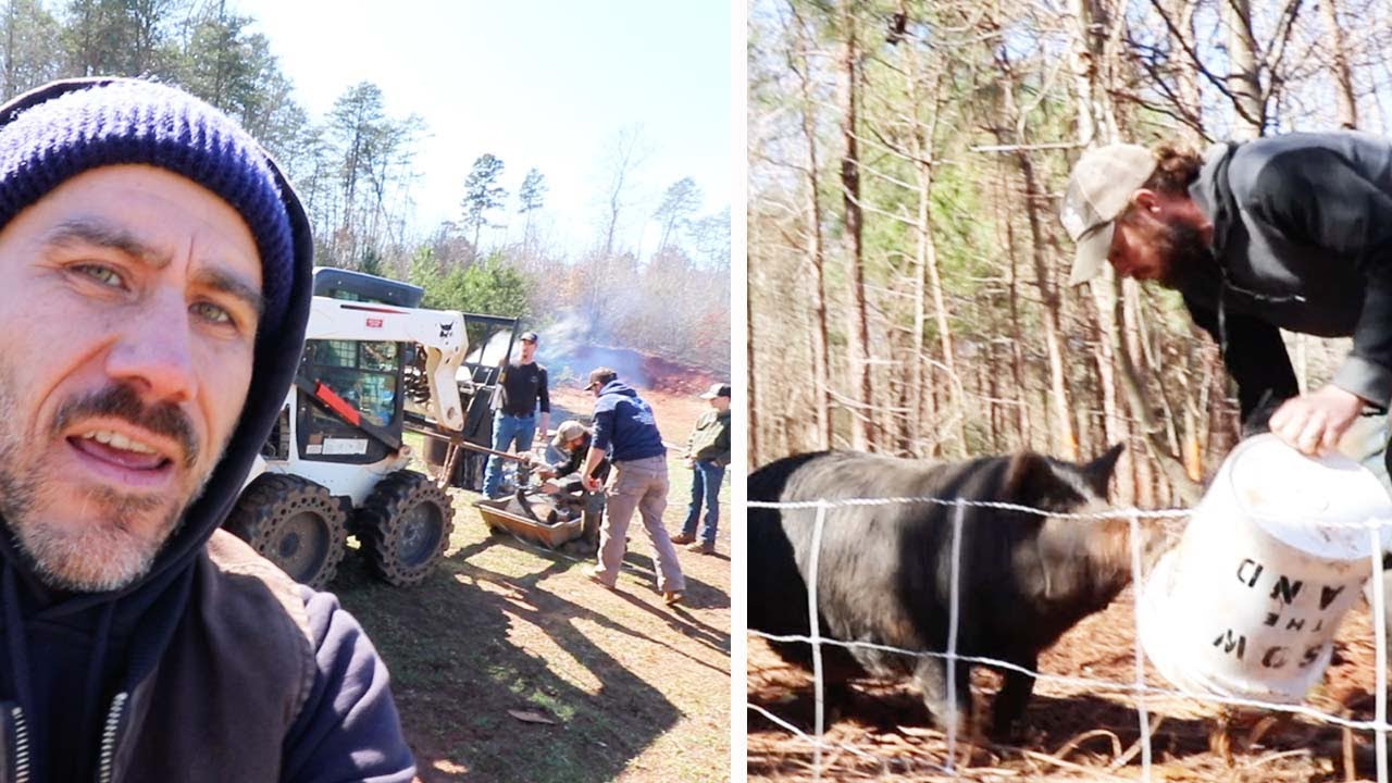 Learning the Process of HOMESTEAD PIG BUTCHERY (First Time) 🐖 - YouTube