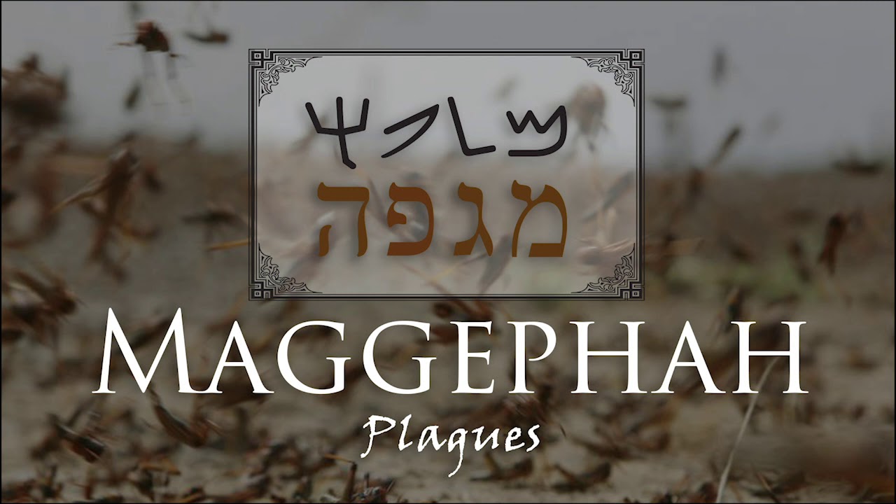 Maggephah: The Plague from God - YouTube