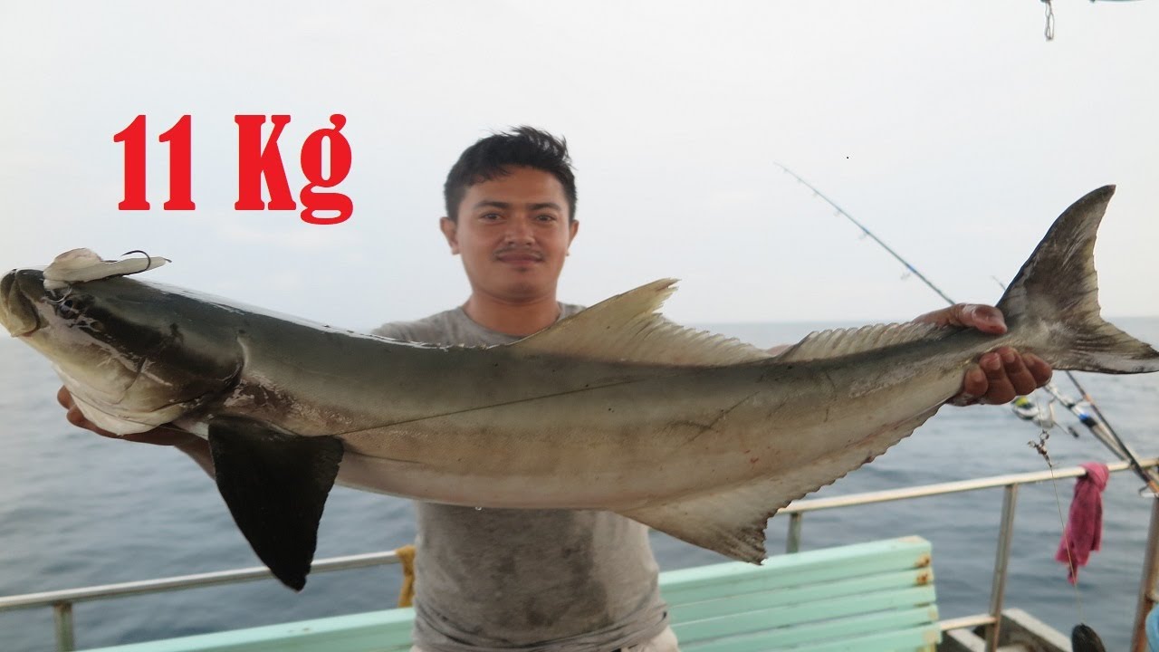 Fishing At Koh Sdach 2021|| Sea Fishing 2021 || - YouTube