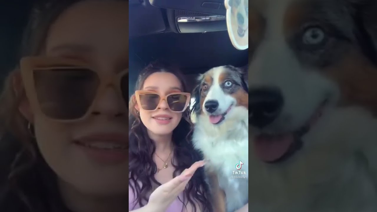 Faze Rug Girlfriend Kaelyn Tik Tok Videos Youtube
