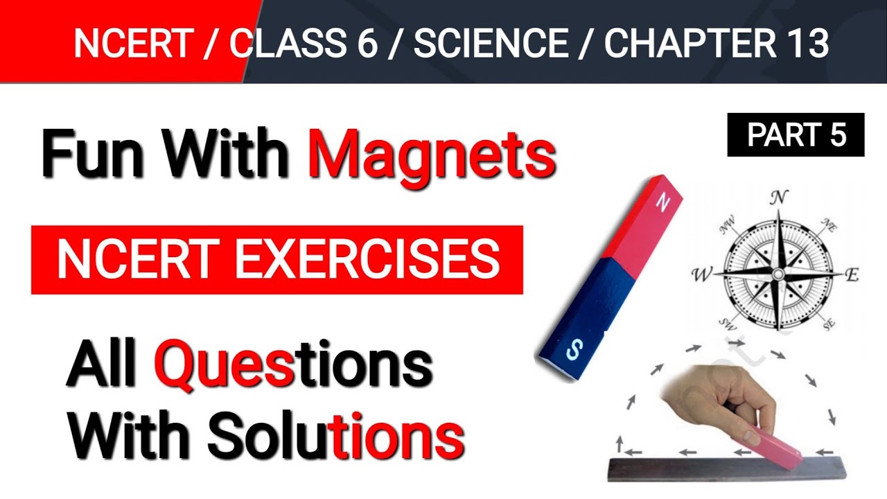 Question answer class 6 science chapter 13 | Ncert exercises fun with ...