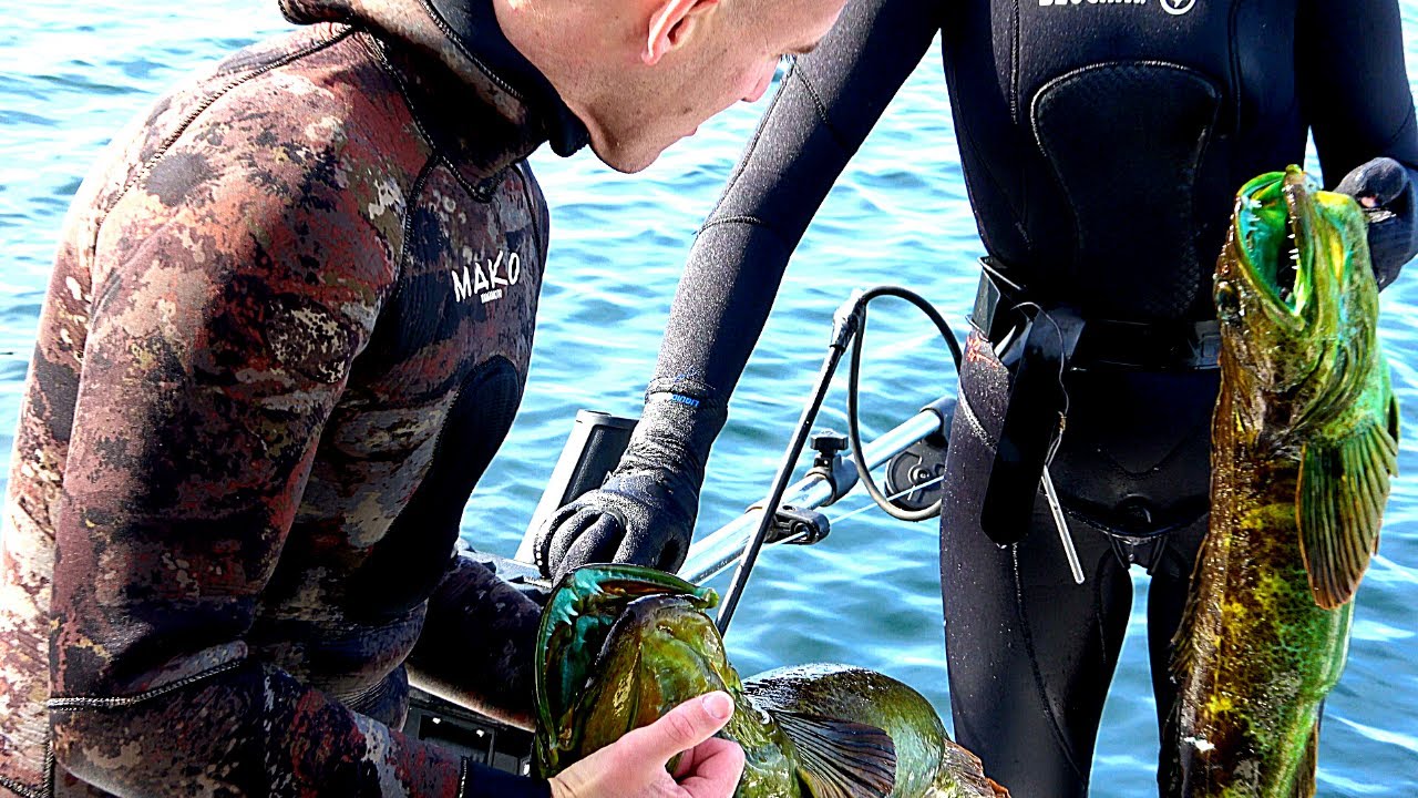 Lingcod Spearfishing | British Columbia, Canada - YouTube