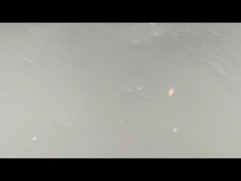 macing🐟 - YouTube