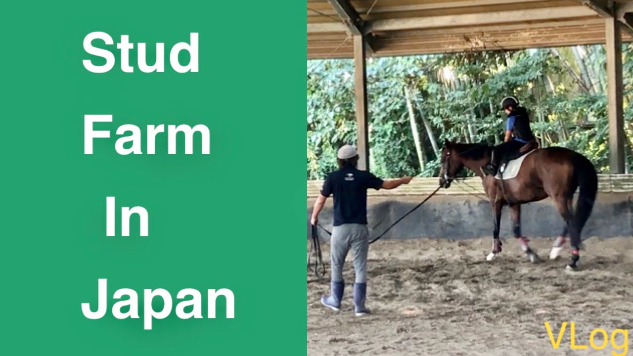 VLog - A stud farm & Horse riding in Japan - YouTube