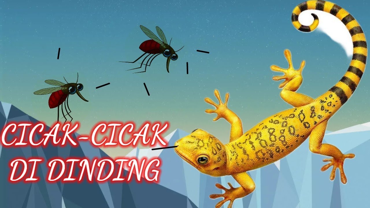 Lagu Anak - Cicak cicak di dinding, Lagu anak hewan - YouTube