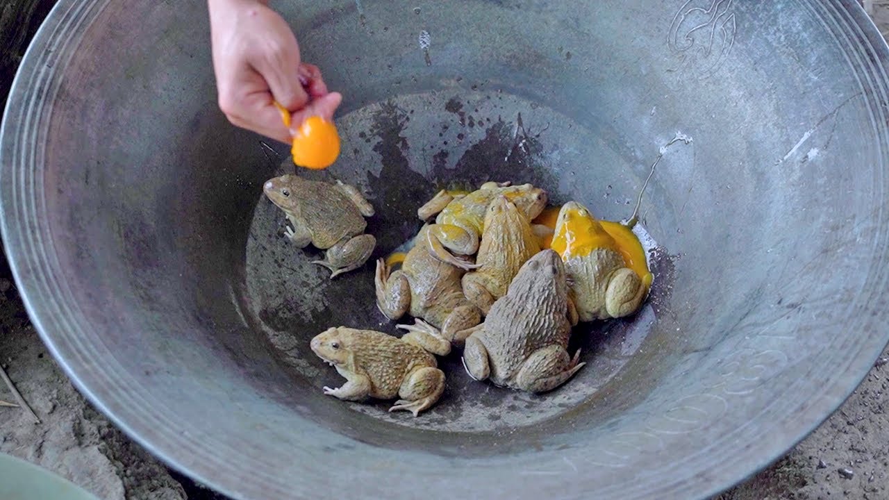 Whoa! Amazing Frog Cooking with Pig Intestine Grilled Recipe Eating ...