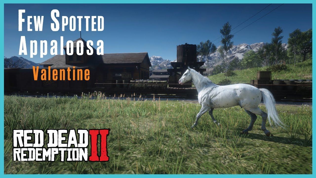 The Search for Few Spotted Appaloosa, #4. Valentine – Cumberland Forest ...