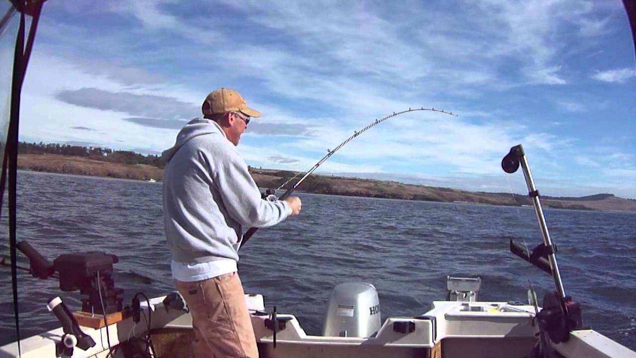 salmon fishing in the puget sound - YouTube